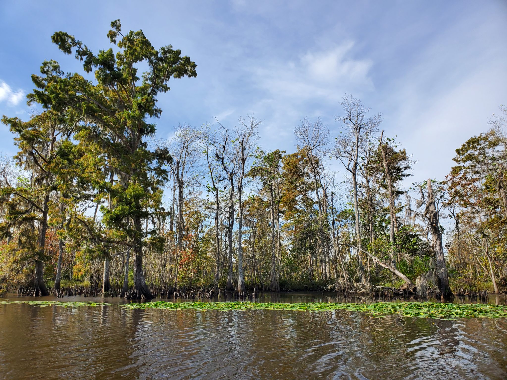 River Reintroduction into Maurepas Swamp Project's Construction ...