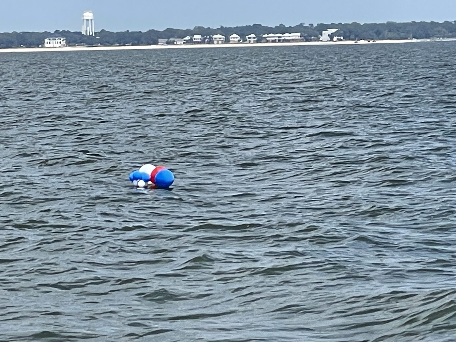 Prohibiting Outdoor Balloon Releases Would Save Wildlife, Reduce Litter ...