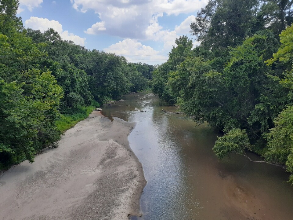 Whither the Comite River? - Louisiana Wildlife Federation