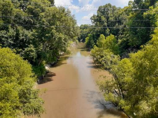 Whither the Comite River? - Louisiana Wildlife Federation