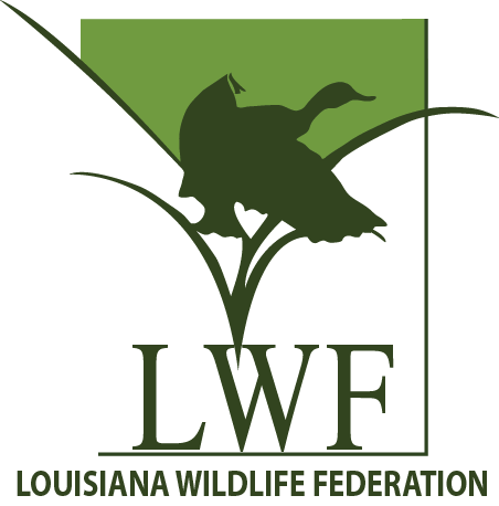 LOUISIANA BULLFROG MANAGEMENT - Louisiana Wildlife Federation
