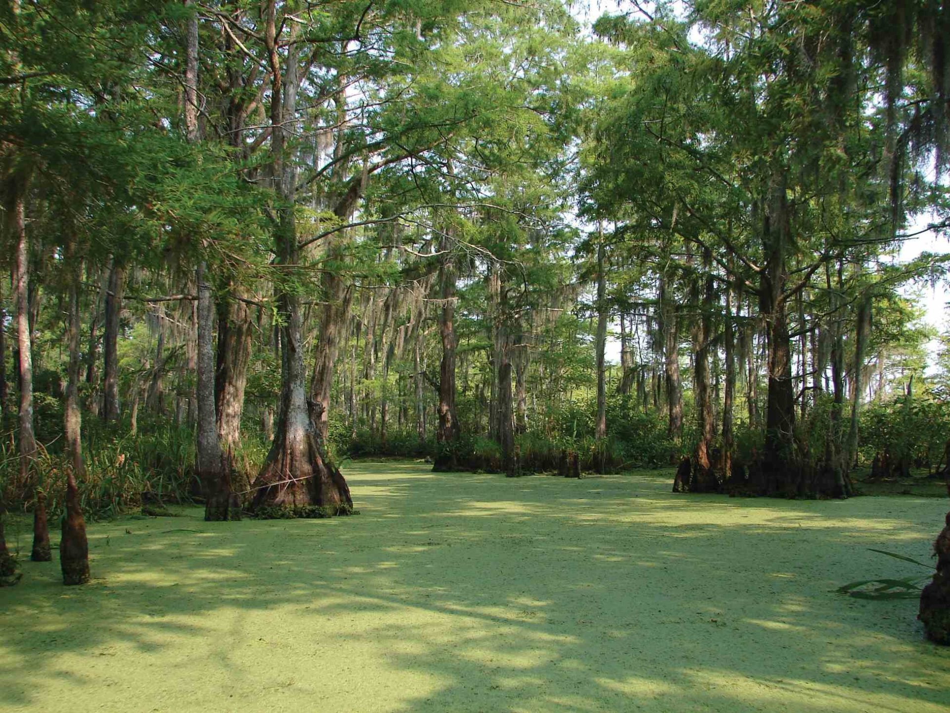 LWF reaffirms opposition to Pearl River "One Lake" project, submits ...
