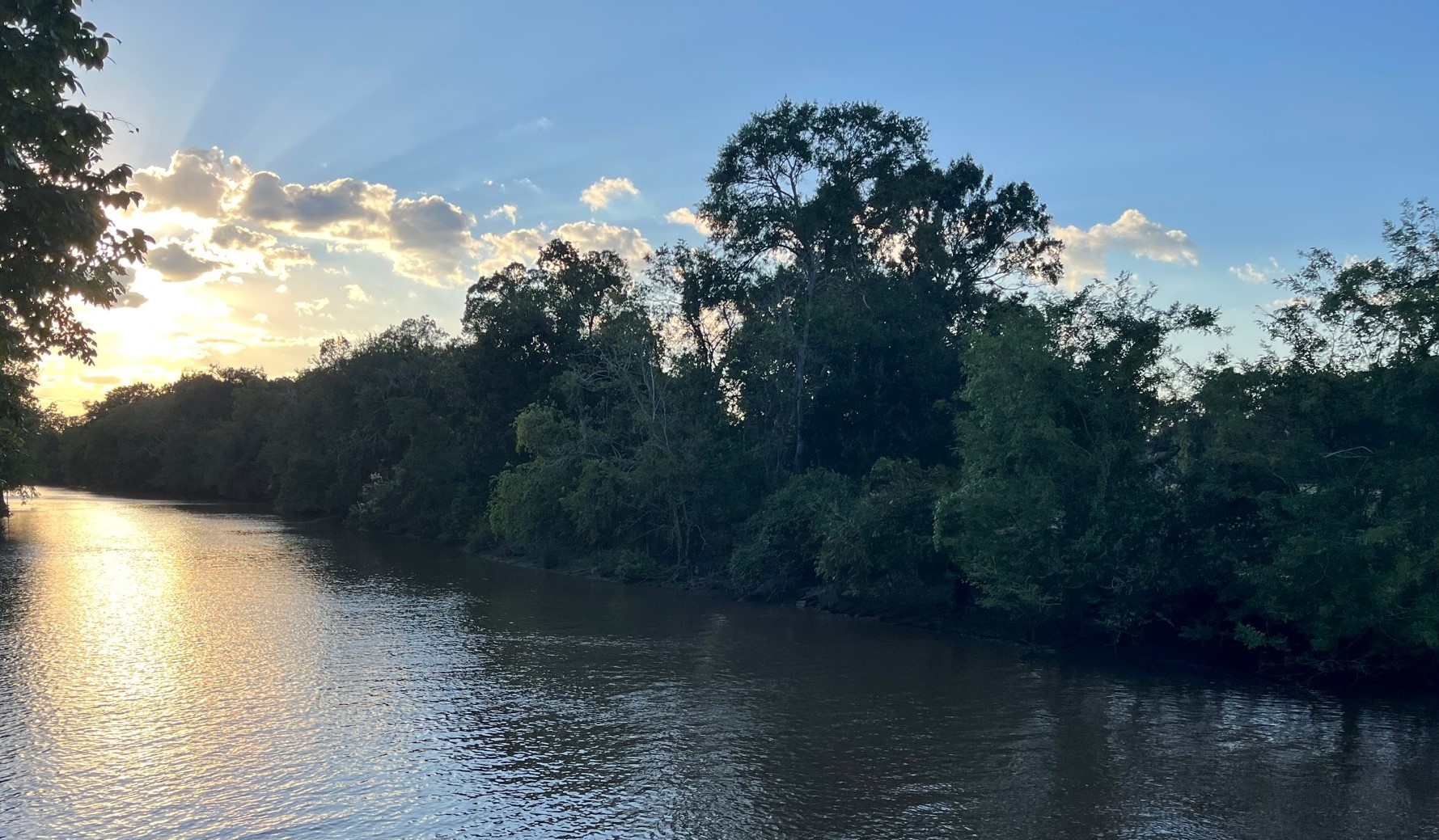 DENR releases latest draft of reorganization proposal, but includes few ...