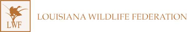 Louisiana Wildlife Federation
